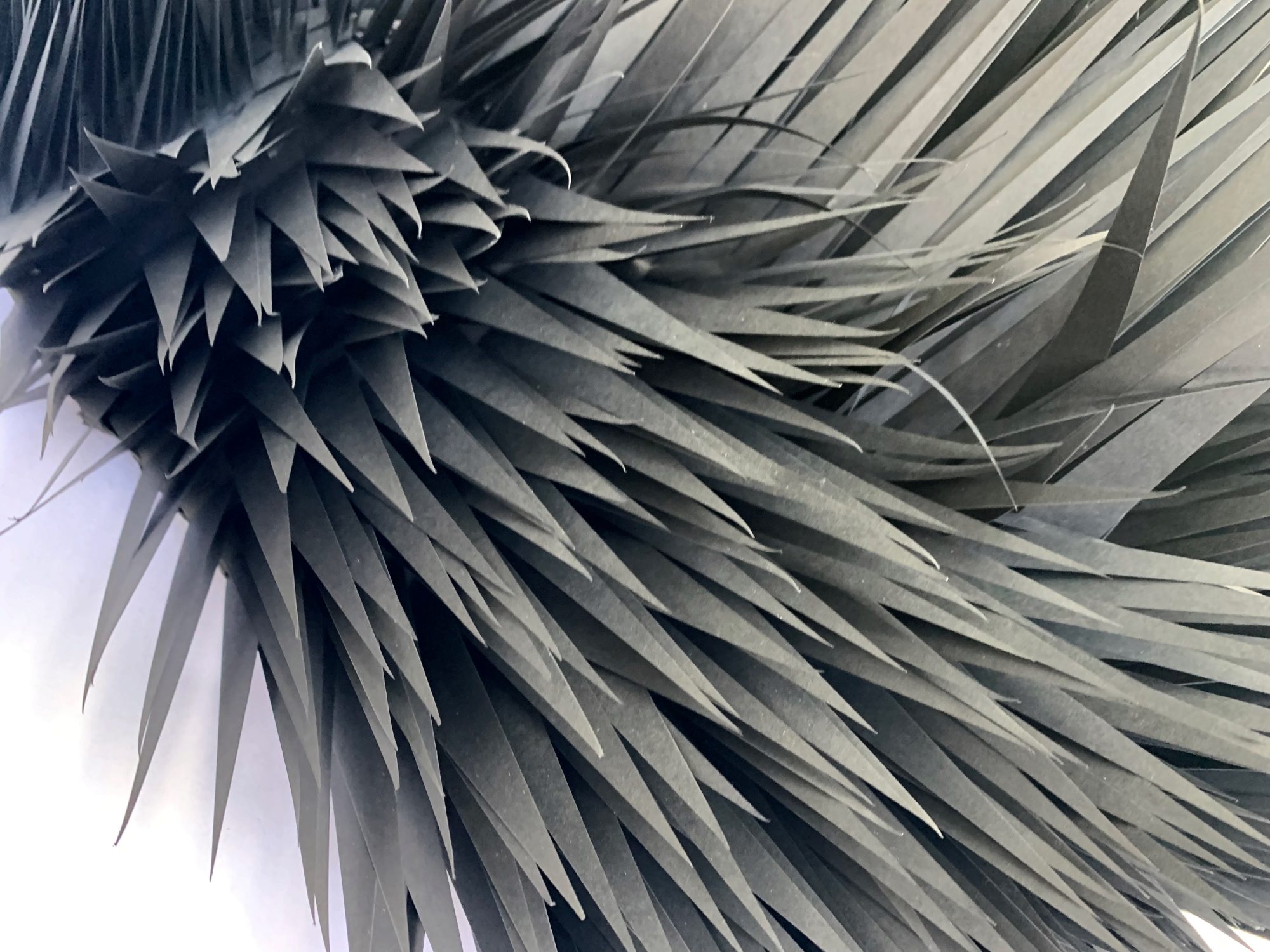 Awakening - Kelly Joy Ladd