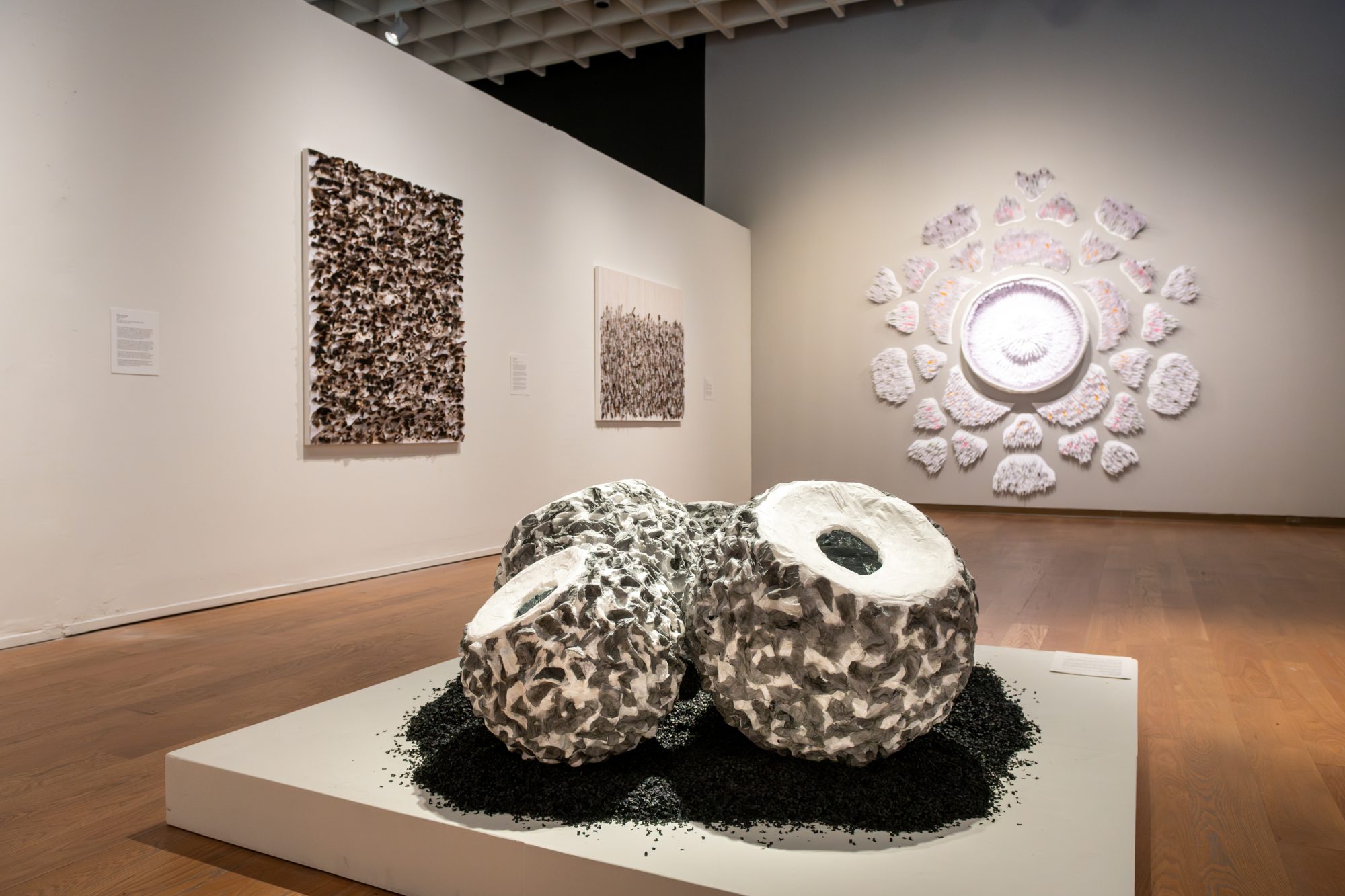 Exhibitions - Kelly Joy Ladd