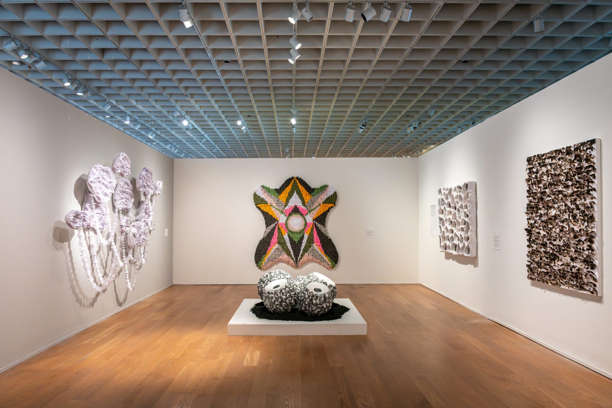 Exhibitions - Kelly Joy Ladd