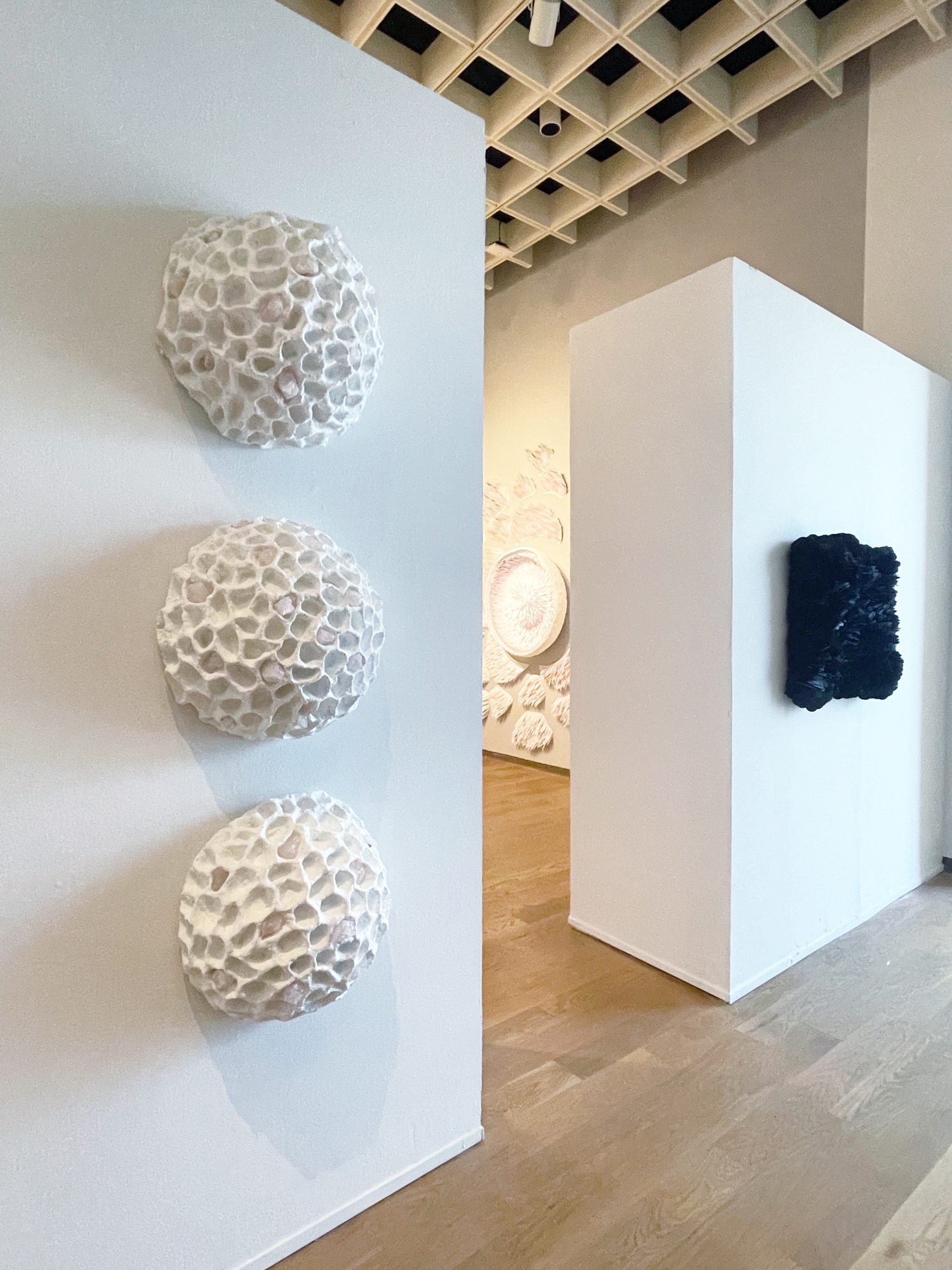 Exhibitions - Kelly Joy Ladd