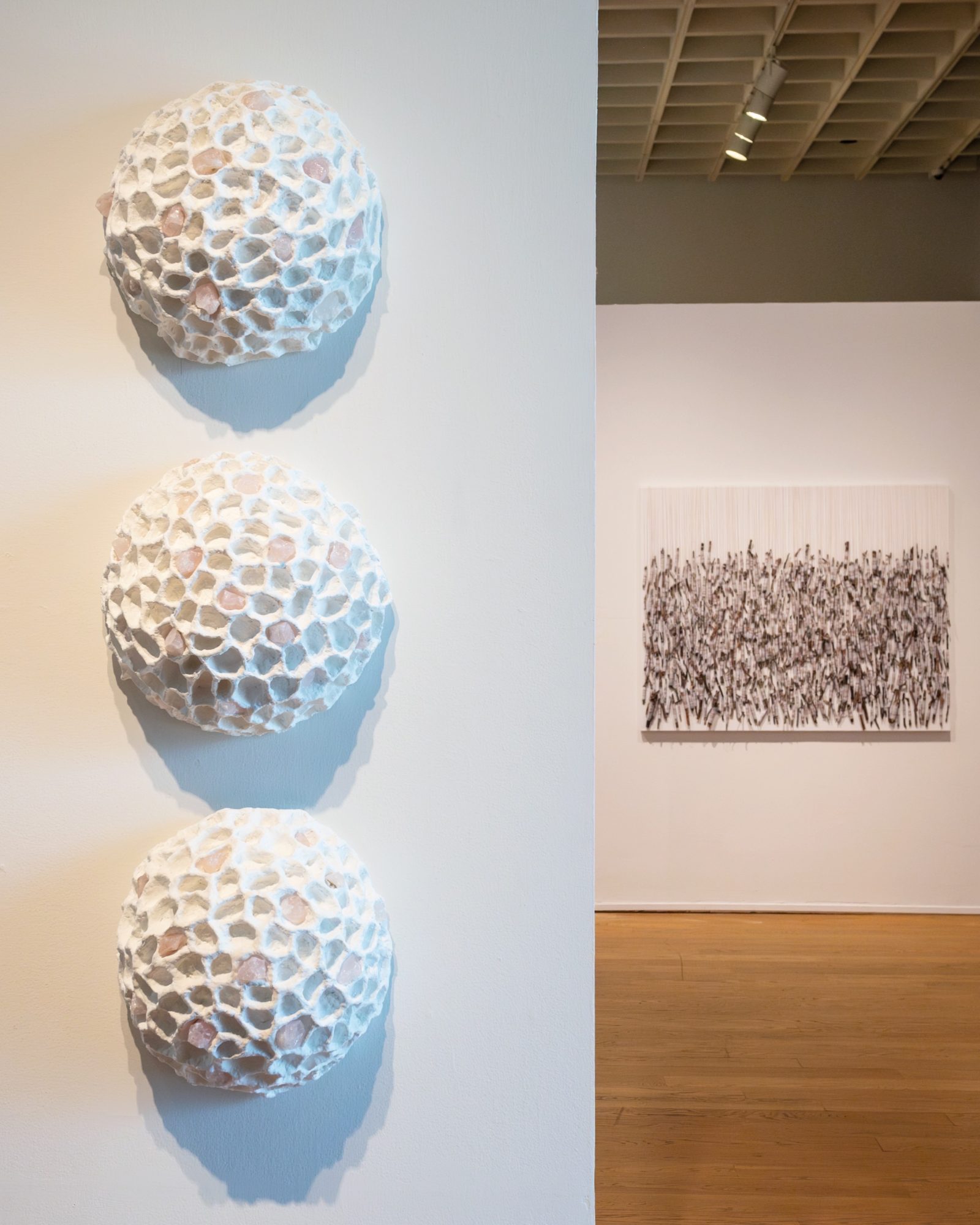 Exhibitions - Kelly Joy Ladd