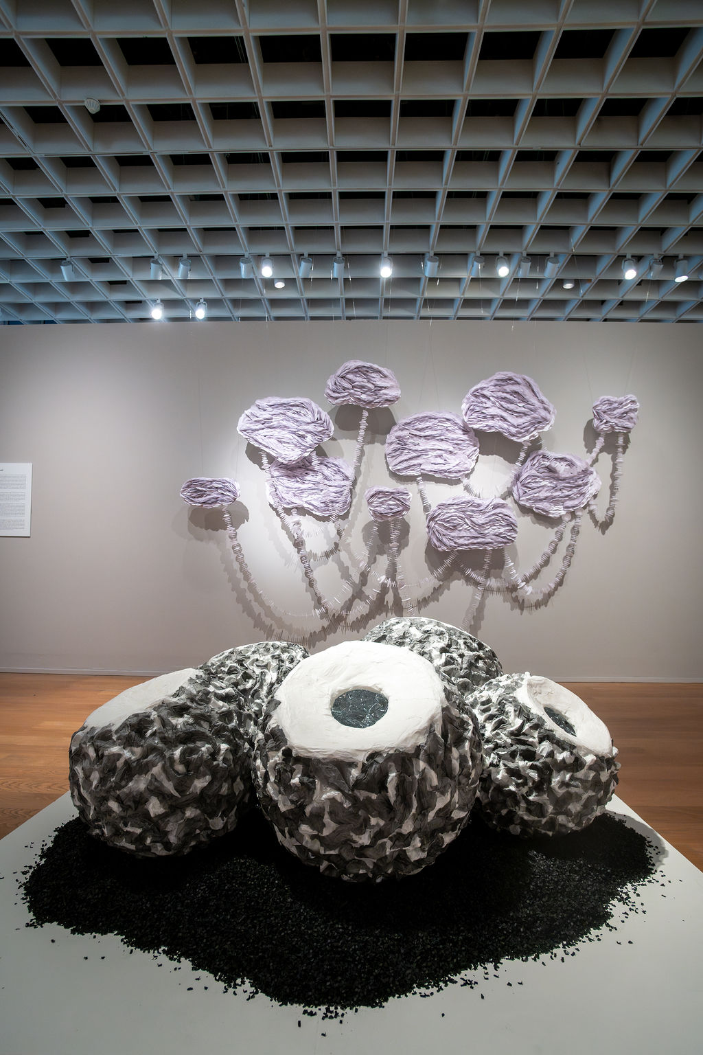Exhibitions - Kelly Joy Ladd
