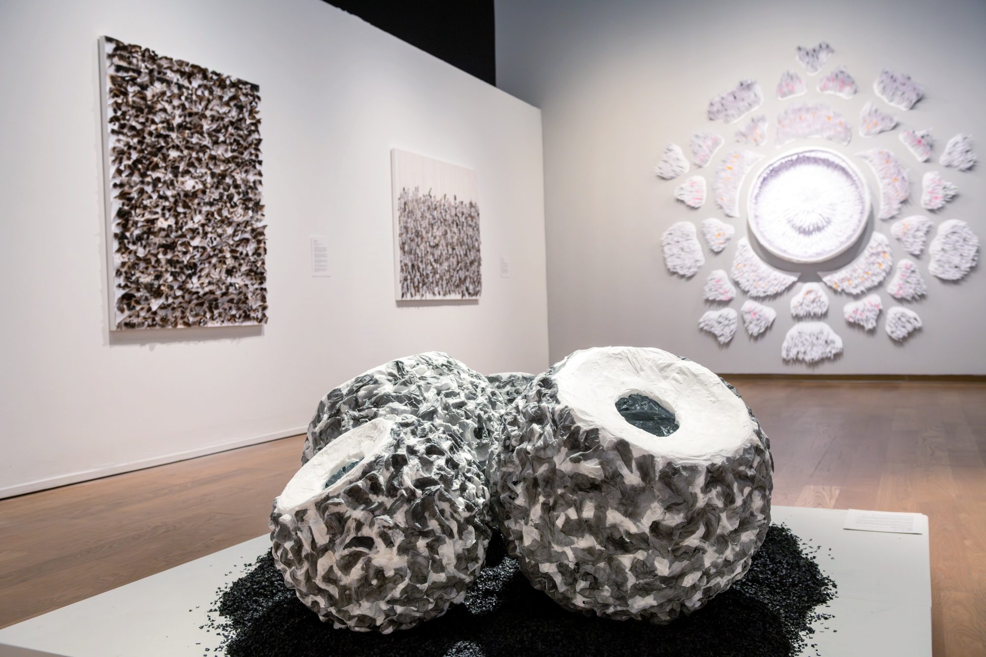 Exhibitions - Kelly Joy Ladd