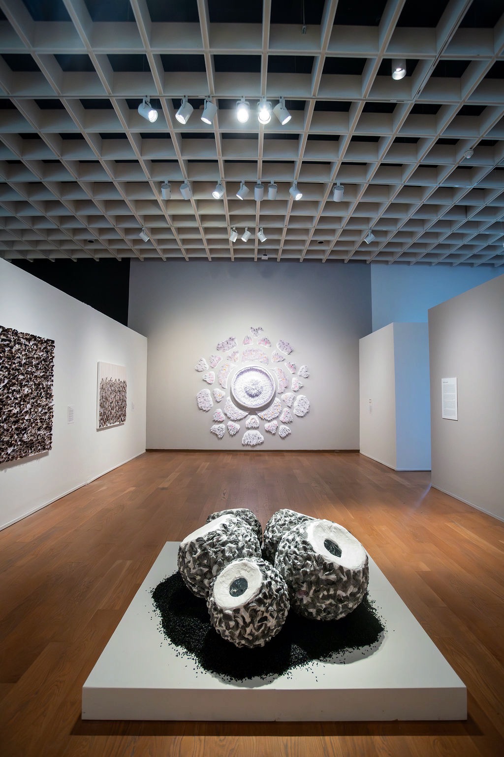 Exhibitions - Kelly Joy Ladd