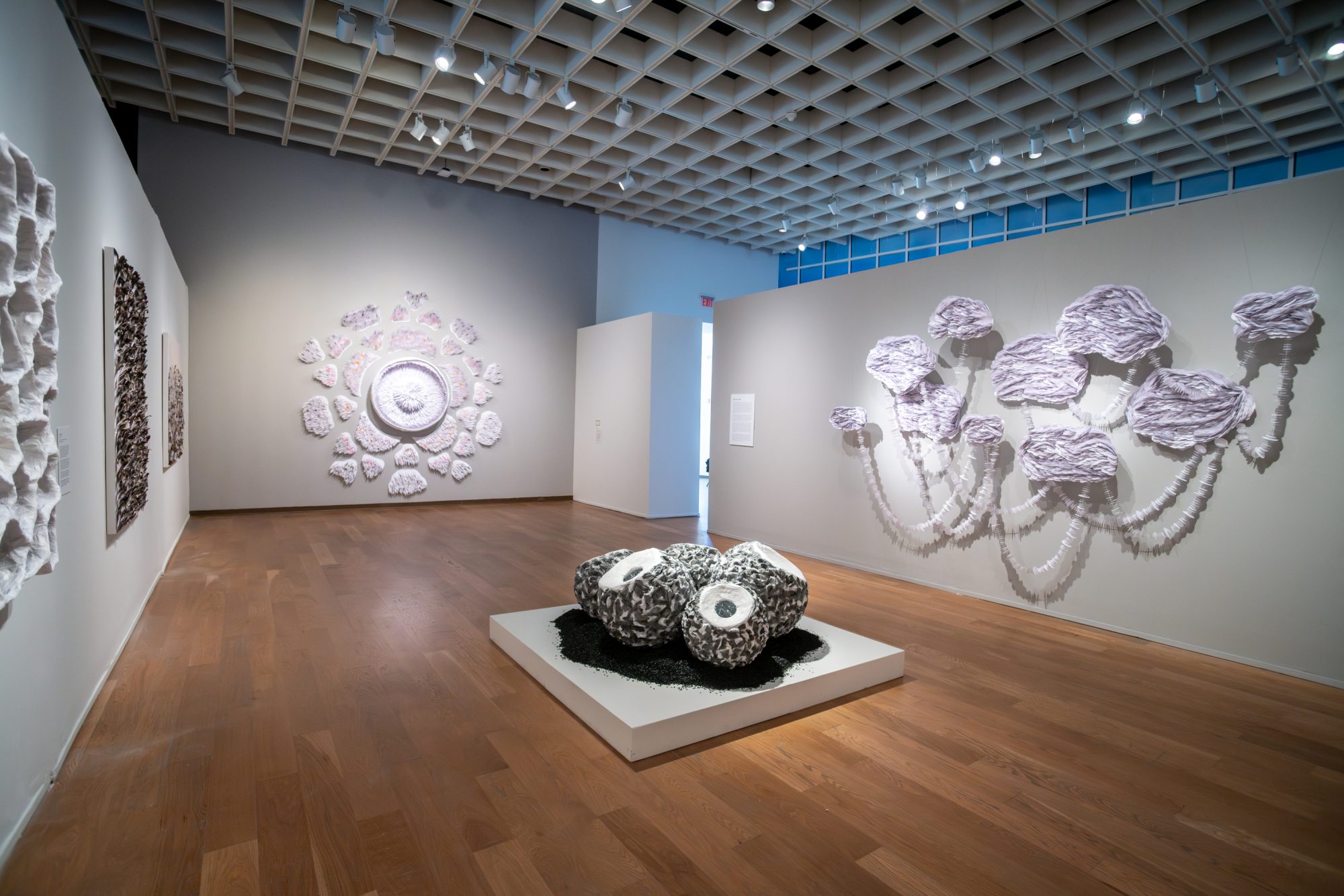 Exhibitions - Kelly Joy Ladd